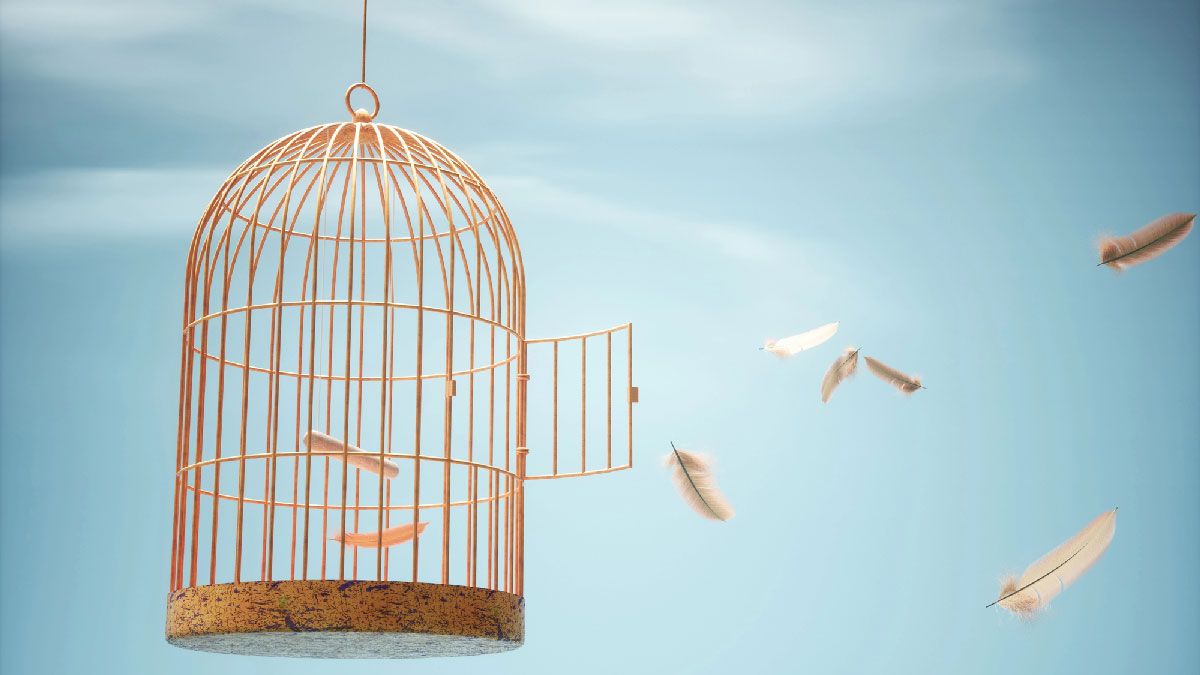 Structure creates freedom